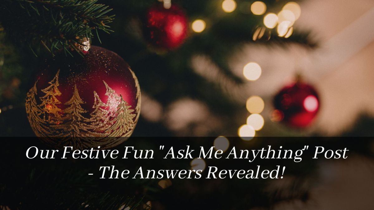 Our Festive Fun “Ask Me Anything” Post – The Answers Revealed! – Ten ...